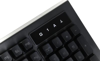 Клавиатура A4TECH Bloody B120N, USB, c подставкой для запястий, черный ...
