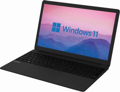Ноутбук Digma EVE 11 C421Y 11.6", трансформер, TN, Intel Celeron N4020C ...