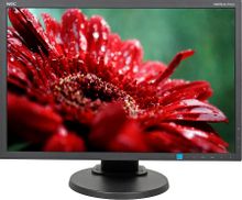 Монитор Nec MultiSync E223W-BK 22", черный – купить в Ситилинк | 789462