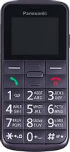 Сотовый телефон Panasonic TU110, фиолетовый – купить в Ситилинк | 1193865