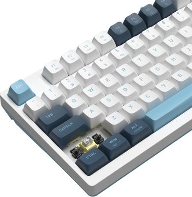 Клавиатура A4TECH FS300, USB, белый + синий [fs300 panda snowboarding ...