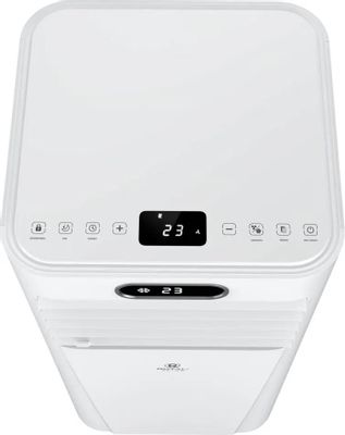 Кондиционер мобильный Royal Clima Tesoro RM-TS17CH-E белый – купить в ...