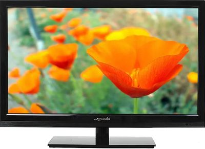 22" Телевизор IRBIS M22Q77FAL, FULL HD, черный – купить в Ситилинк | 840366