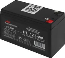 Аккумуляторная батарея PROMETHEUS ENERGY PE 1234 W для ИБП, 12В, 9Ач ...