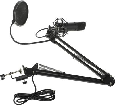 Микрофон Ritmix RDM-180, черный [80000153] – купить в Ситилинк | 1160286