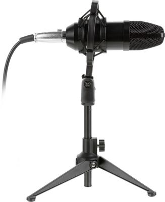Микрофон Ritmix RDM-160, черный [80000132] – купить в Ситилинк | 1141078