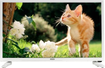 Характеристики 24" Телевизор BBK 24LEM-1067/T2C, HD, белый (1399590) смотреть в СИТИЛИНК