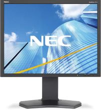 Характеристики 21.3" Монитор Nec MultiSync P212-BK, 1600x1200, IPS ...