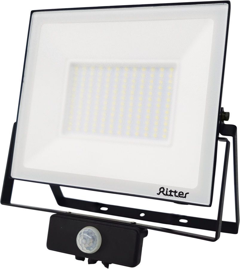 Обзор товара прожектор уличный RITTER Profi, 100Вт, с датчиком движения ...