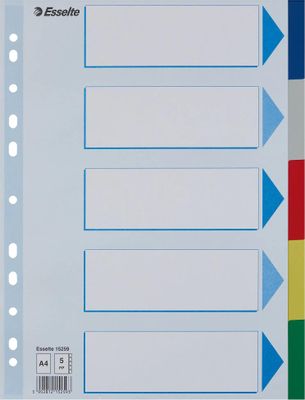 Разделитель индексный Esselte 15259, A4, полипропилен, 5 – купить в ...