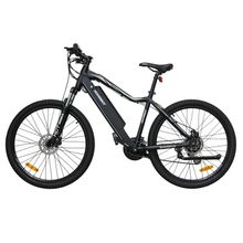 Электробайк HOVERBOT CB-4 X-Rider 2019, 10400mAh, черный [vcb4bk2019] – купить в Ситилинк | 1365972