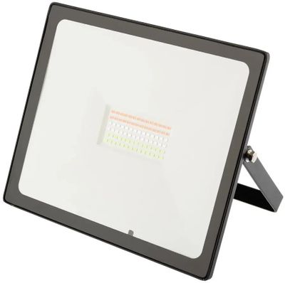 Прожектор уличный REXANT 605-013, 50Вт – купить в Ситилинк | 1531193