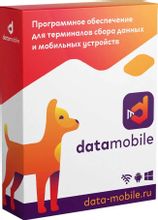 Неискл. право на исп-ие ПО DATAMOBILE версия Online Lite подписка на 1г [dmonlinelite12m ...