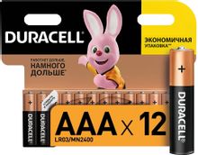 AAA Батарейка Duracell Basic LR03-12BL MN2400, 12 шт. – купить в ...