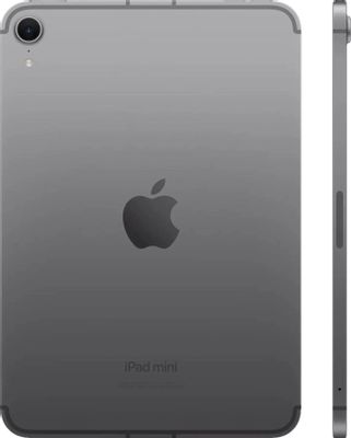 8.3" Планшет Apple iPad mini 2024 Wi-Fi + Cellular A2995 8/128 GB A17 ...