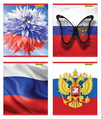 Инструкция, руководство по эксплуатации для тетрадь Silwerhof Триколор ...