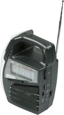 Радиоприемник Ritmix RPR-555, черный – купить в Ситилинк | 1123011