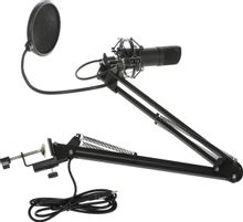 Микрофон Ritmix RDM-180, черный [80000153] – купить в Ситилинк | 1160286
